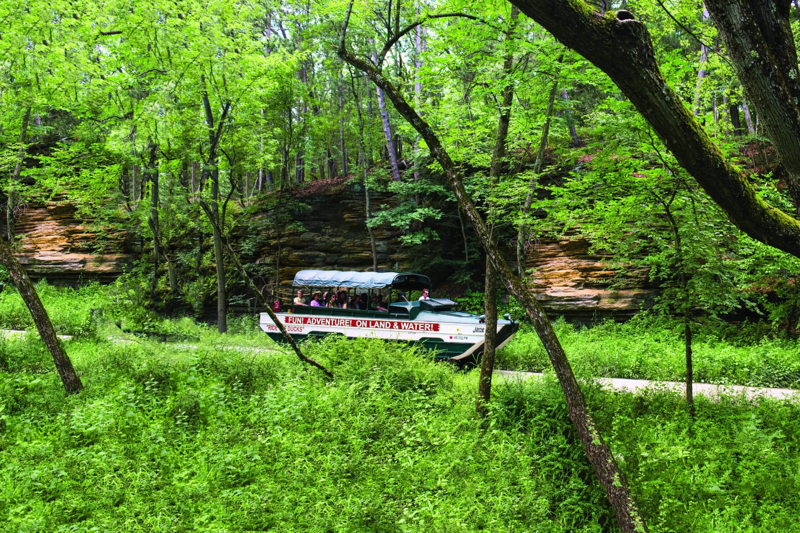 The Tour - Original Wisconsin Ducks