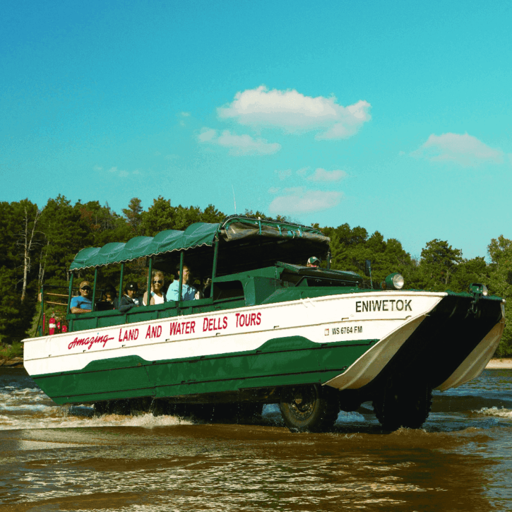 Gallery - Original Wisconsin Ducks